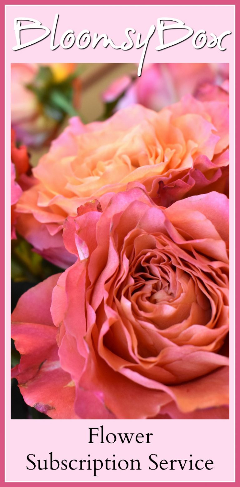Flower Subscription Service - From the Farm to Your Door - My Four and More