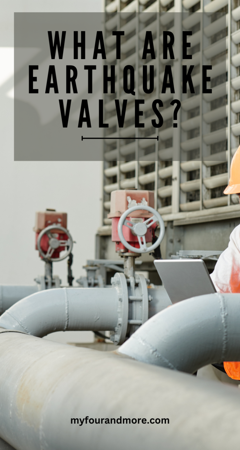 What-are-Earthquake-valves - My Four and More